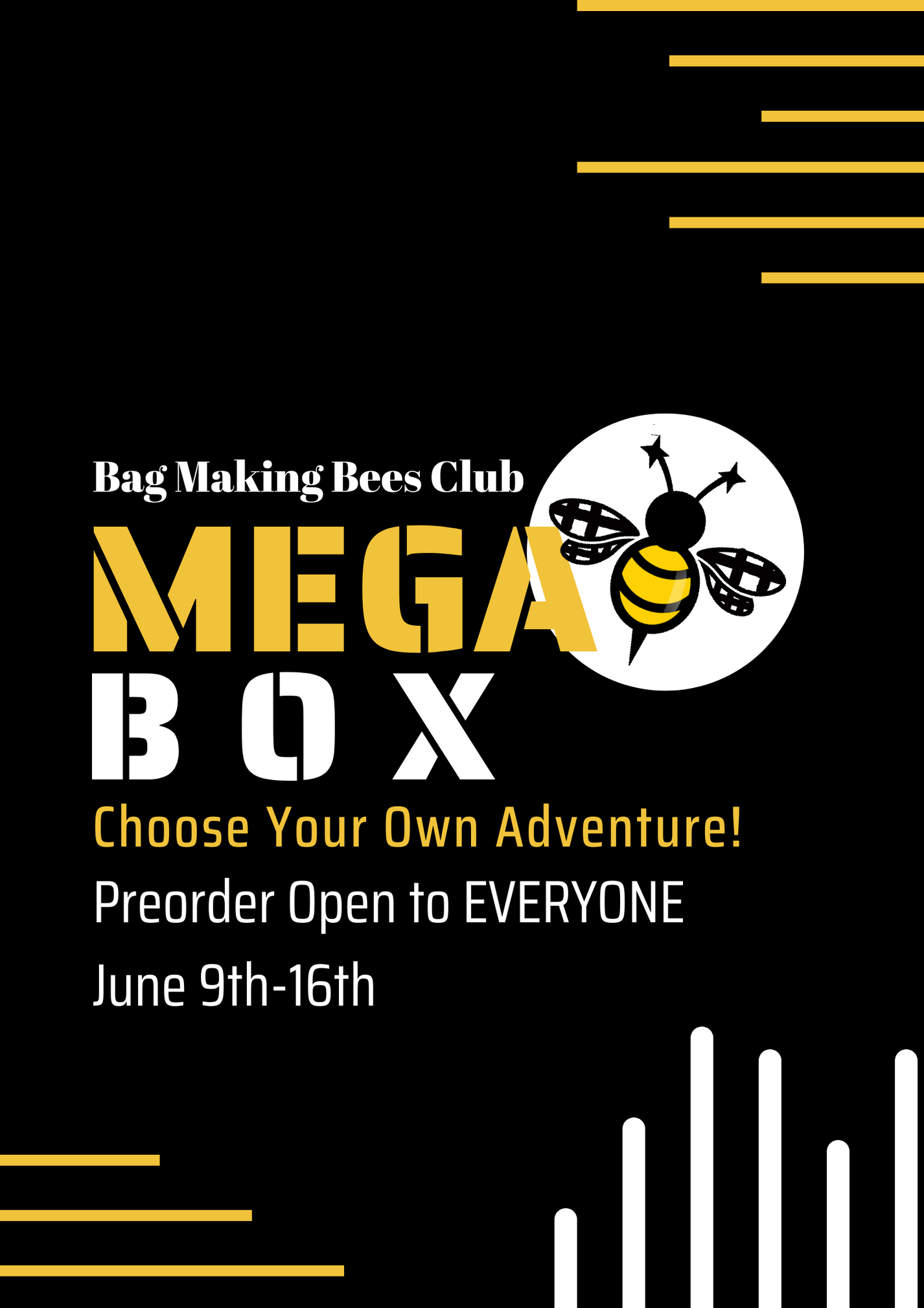 Choose Your Own Adventure Bag Making Bee Mega Box – Bag Making Bees Club